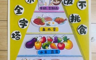 健康饮食金字塔怎么吃_一日三餐搭配指南
