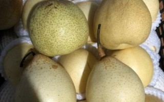 雪梨图片长什么样_如何辨别真假雪梨