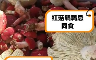 红菇禁忌人群有哪些_哪些人不适合吃红菇