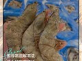 速冻虾仁解冻后很腥怎么办_如何去除虾仁腥味