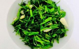 茴香菜长什么样_茴香菜怎么做好吃