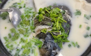 鱼头汤怎么做好吃又简单_鱼头汤去腥技巧