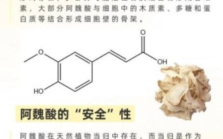 阿魏酸的功效与作用_阿魏酸可以美白吗