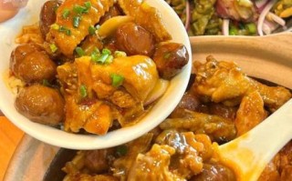 红烧仔鸡怎么做好吃_家常红烧仔鸡做法步骤