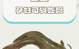 吃鲶鱼对身体有害吗_鲶鱼重金属超标是真的吗