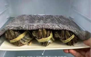 螃蟹可以放冰箱吗_活蟹冷藏能放几天
