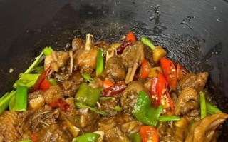 鹅的做法大全家常菜_鹅肉怎么炖才好吃