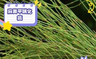 麻黄副作用有哪些_如何避免麻黄中毒