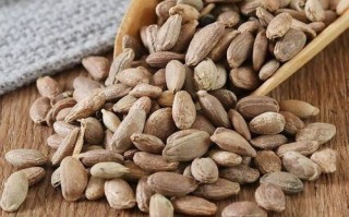 瓜蒌仁和瓜蒌子有什么区别_哪个更好