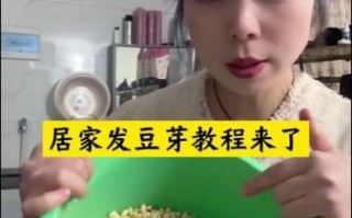 黄豆芽怎么发_黄豆芽家庭自制方法