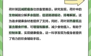 荷叶粥怎么做_荷叶粥的功效与作用