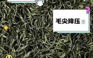 信阳毛尖的功效与作用_信阳毛尖的禁忌有哪些