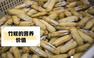 竹蛏怎么清洗_竹蛏和蛏子区别