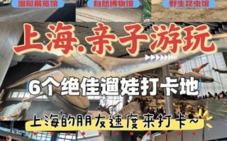 上海周边哪里适合亲子游_上海周末带孩子去哪玩