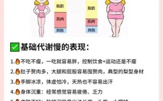 易胖体质怎么调理_如何变成易瘦体质