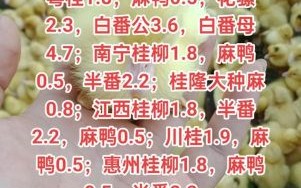 鸭苗价格今日价全国_鸭苗多少钱一只