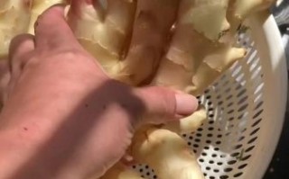 糖醋生姜怎么做_糖醋生姜的正确做法