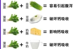 菠菜和什么一起吃最营养_菠菜不能和什么一起吃