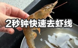 对虾怎么去虾线_虾线挑不干净怎么办