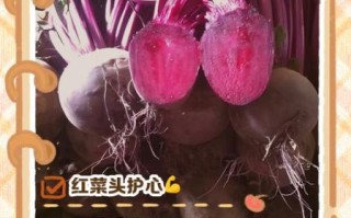 红菜头是什么菜_红菜头怎么吃