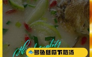 鲫鱼丝瓜汤怎么做_鲫鱼丝瓜汤的功效与禁忌