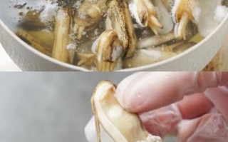 蛏子怎么清洗去沙_蛏子清蒸还是水煮好吃