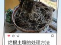烂地理怎么改善_烂地理能学好吗