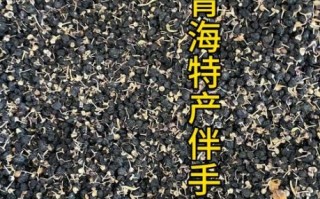 西宁特产有哪些土特产_西宁值得带走的伴手礼