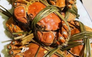 清蒸大闸蟹怎么做_蟹黄怎么保存