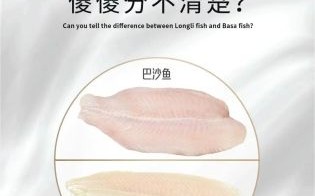 龙利鱼是什么鱼_龙利鱼是海里的还是淡水的