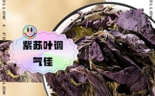 紫苏叶泡水有什么功效_紫苏叶泡水能天天喝吗