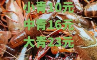 龙虾多少钱一斤_龙虾价格为什么波动这么大