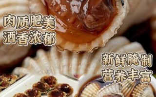 血蚶和毛蚶的区别在哪里_哪个更好吃