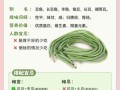 长豆角的营养价值_长豆角的功效与作用