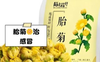孕妇可以喝菊花茶吗_孕妇喝菊花茶对胎儿有影响吗