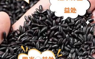 黑米的营养价值和功效与作用_黑米怎么吃最补血