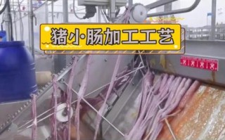 肠衣是怎么做出来的_天然肠衣加工流程