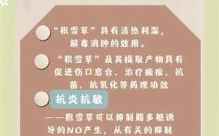 积雪草的功效与作用_积雪草对皮肤真的有用吗