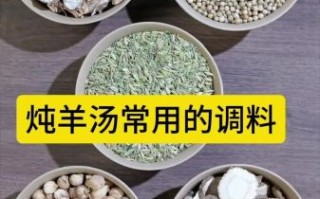 炖羊肉放什么调料去膻_炖羊肉不能少的四种调料