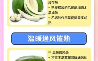 青木瓜怎么催熟_青木瓜几天能熟