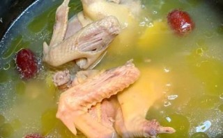 鸽子汤图片大全_鸽子汤怎么炖最营养