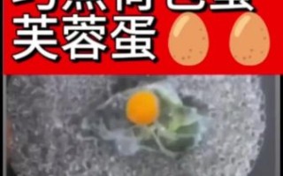 芙蓉蛋怎么做_芙蓉蛋的家常做法