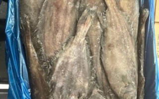 鲽鱼和鸦片鱼区别_怎么分辨