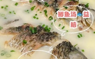 鲫鱼汤有什么营养_鲫鱼汤的功效与作用
