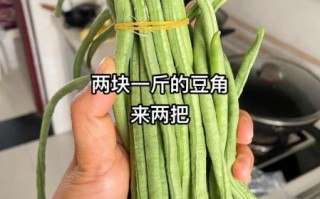 酸辣长豆角怎么腌制_长豆角腌制多久能吃