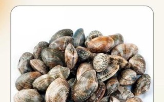 蛤蜊怎么吐沙干净_如何让蛤蜊彻底吐沙