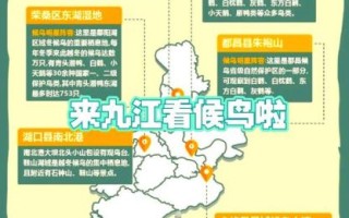 鄱阳湖一日游路线_鄱阳湖观鸟最佳时间