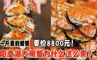 阳澄湖大闸蟹多少钱一斤_今年价格走势