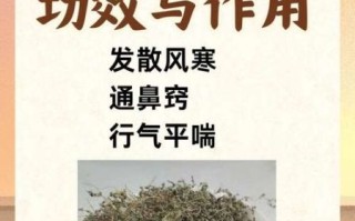 鹅不食草治过敏性鼻炎_怎么用