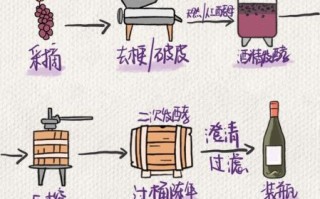 葡萄酒酿造方法有哪些_自酿葡萄酒步骤详解